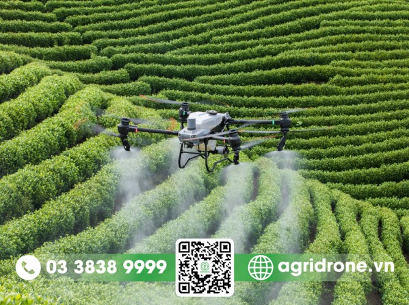 AgriDrone hướng sử dụng máy bay T50 hiệu quả & tiết kiệm nhất | VIETMOSFARM